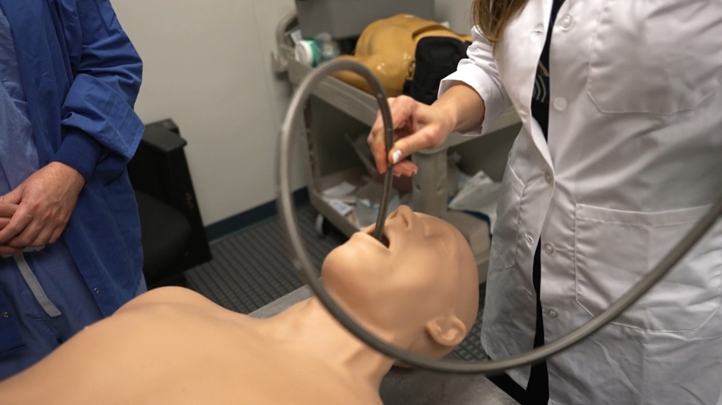 Cardiothoracic | Anesthesiology | Medical School | Brown University